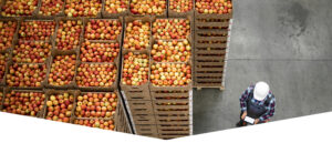 Harvest Right Commercial