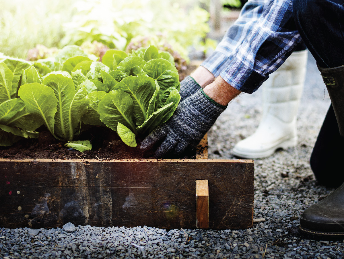 Learn – Harvest Right Commercial