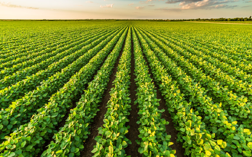 Learn – Harvest Right Commercial